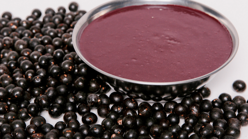Cultura e estudos do açaí na região norte